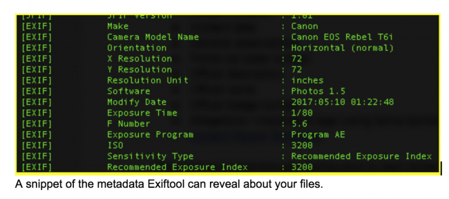 Metadata: Intro - Elgrito